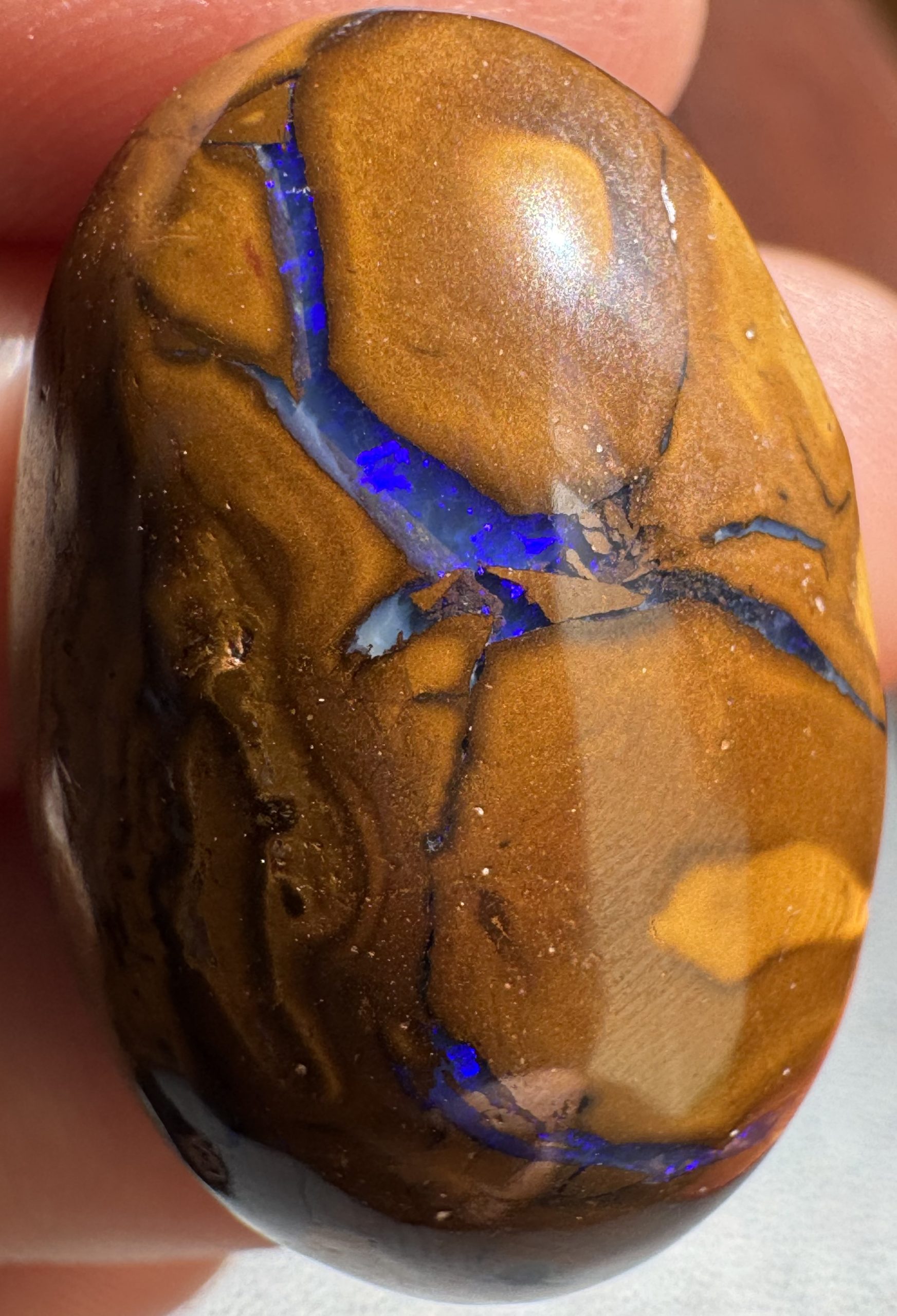 Qld Boulder opal 27 x 17 x 8mm 42.1cts IMG3937 | Australian Opal Mines